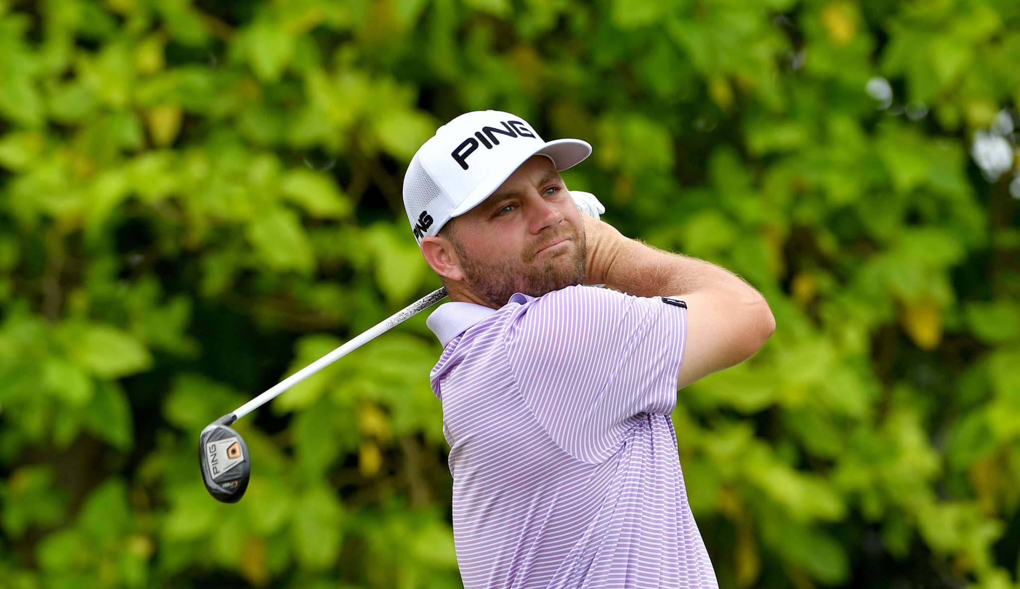 Video interview with Casey O'Toole